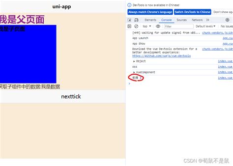 vue：ref的作用和实例