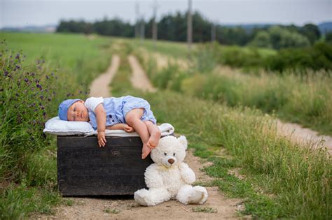 귀여운 유아 소년 시골 길에 테디 베어와 빈티지 가방에 자고 가지 식물 부위에 대한 스톡 사진 및 기타 이미지 가지 식물 부위 감정 경관 Istock