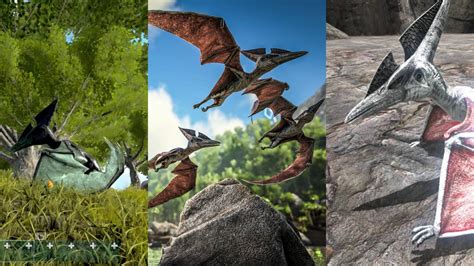 How To Tame A Pteranodon In Ark Survival Evolved