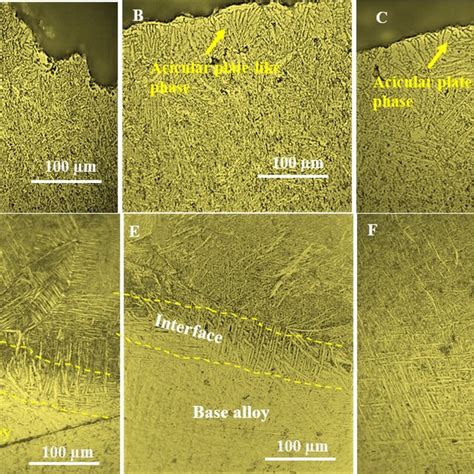A Optical Microscopic Image Of The Microstructure Formed Ac When Download Scientific