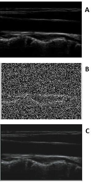 Image A Sample Image B Noise Image With Noise Density Of 05 Db