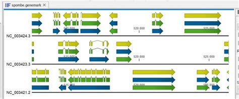 Protein Coding Gene Prediction Using Qiagen Clc Genomics Workbench Bioinformatics Software