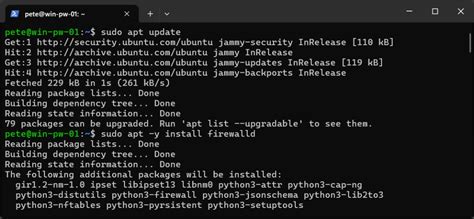 how to install firewalld on wsl ubuntu dbasco