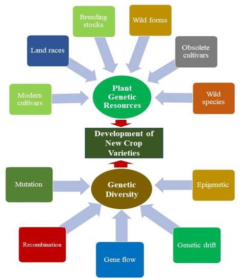 Genetic Diversity Conservation And Utilization Of Plant Genetic Resources