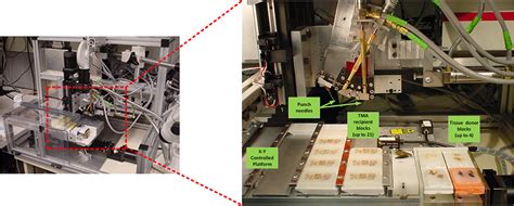 Tissue Microarrayer For High Throughput Analysis Of Pathology Tissue