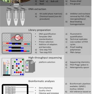 Primer Pairs Targeting The 18S RRNA Gene That Have Been Frequently Used Download Scientific