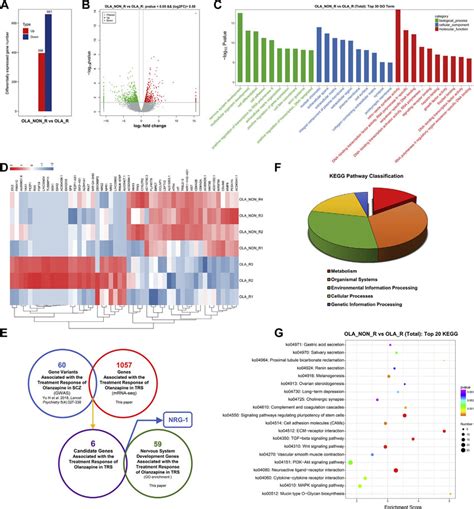 Global Transcriptome Analysis Of Trs Patient Specific Nscs A