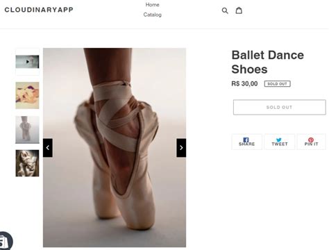 Integrating Video In Custom Shopify Apps Codeproject