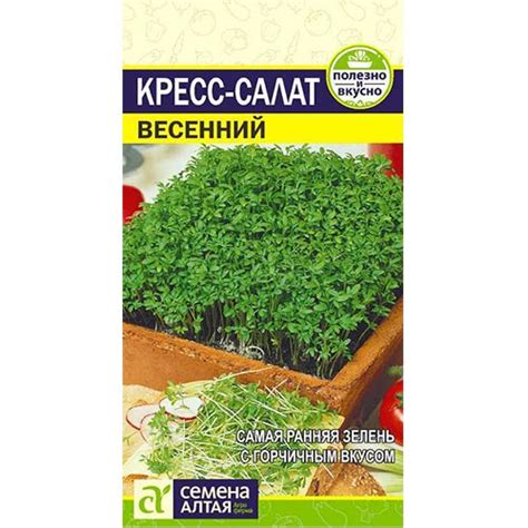 Кресс-салат Весенний Семена Алтая (94058): купить семена почтой в ...