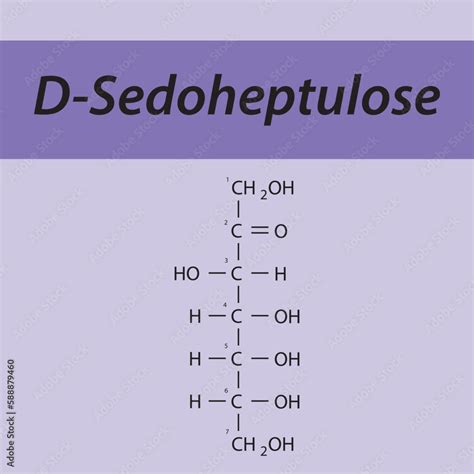 Straight Chain Form Chemical Structure Of D Sedoheptulose Sugar Scientific Vector Illustration