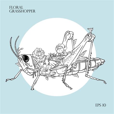 Line Art Illustration Of Grasshopper With Blooming Flowers Stock Vector Illustration Of Sketch Line Art Illustration Of Grasshopper With Blooming Flowers Stock Vector Illustration Of Sketch