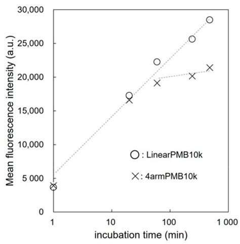 Molecules Free Full Text Cellular Internalization And Exiting Behavior Of Zwitterionic 4