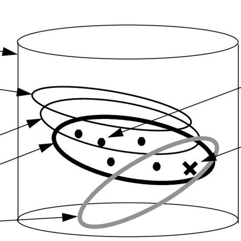 Syntax And Semantics Of L Syntax Semantics Download Scientific Diagram