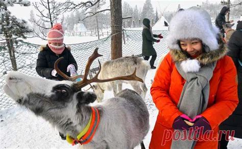 У иностранных туристов вырос спрос на празднование Нового года в Росс Новости Постила
