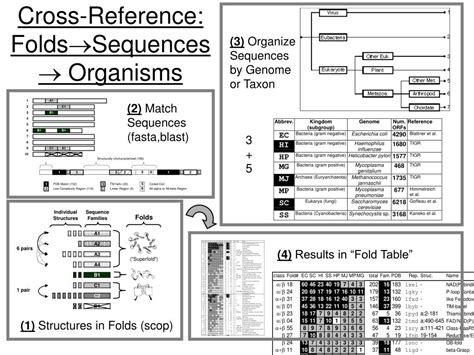 Ppt Analyzing Genomes And Transcriptomes With Structural And Functional