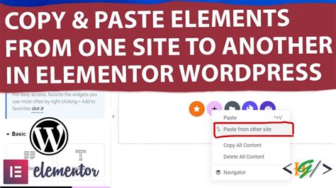 How To Copy And Paste Element Section Widget From One Site To Another