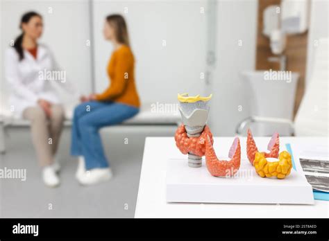 Diagnostics Of Thyroid Diseases Hypothyroidism Or Hyperthyroidism