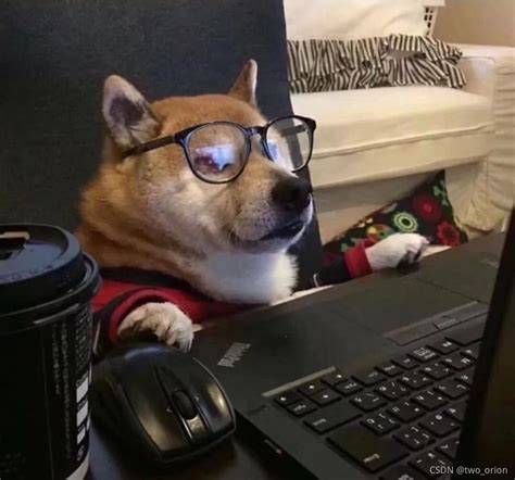 约瑟夫josephus问题c约瑟夫问题c代码 Csdn博客