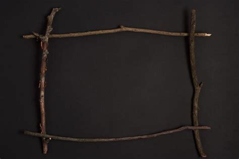 Tree Branch Frame Stock Photos Images And Backgrounds For Free Download