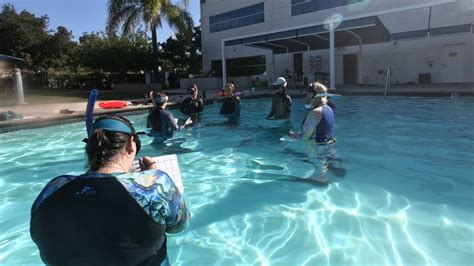 Padi Mermaid Instructor Courses Visit Our New Store In The Heart Of Avalon