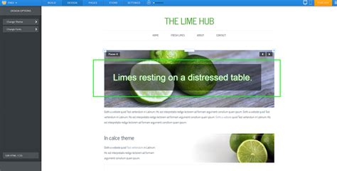 How To Customize The Caption Area Of The Weebly Slideshow Element