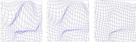 Figure 2 From On Reducing Negative Jacobian Determinant Of The