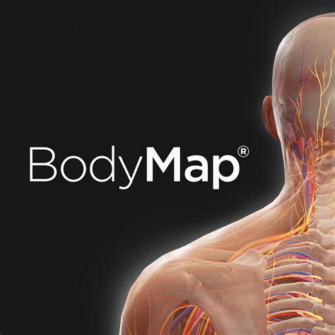 Bodymap On Sidequest Oculus Quest Games And Apps Including Applab Games