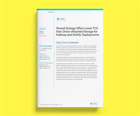 Big Data Analytics Solutions Splunk Hadoop And Nosql Netapp