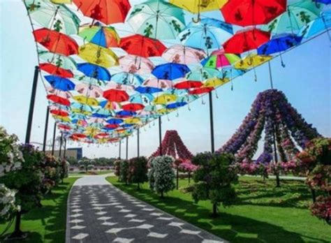 ყველაზე დიდი ბაღი მსოფლიოში