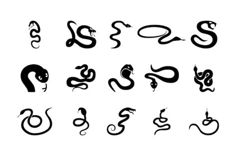 Premium Vector Snake Vector Graphic Design Premium Vector Snake Vector Graphic Design