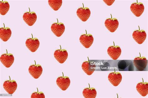 밝은 보라색 또는 분홍색 배경에 딸기로 만든 간단한 여름 따뜻한 패턴 아름다운 초현실적 인 자연 봄 또는 여름 장면입니다 0명에 대한 스톡 사진 및 기타 이미지 Istock