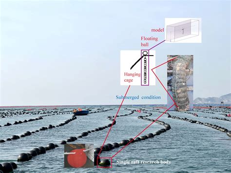 Schematic Diagram Of The Actual State Of The Floating Raft Aquaculture