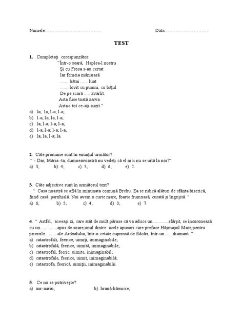 Test Clasa 3 Pdf