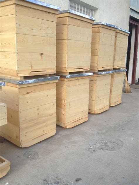 10 და 12 ჩარჩიოანი სკა Tbilisi