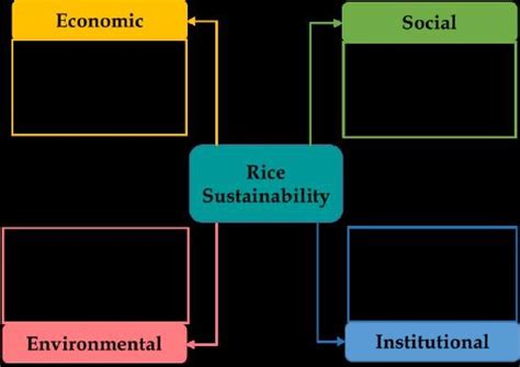 A Conceptual Framework For Sustainable Rice Production In Bangladesh