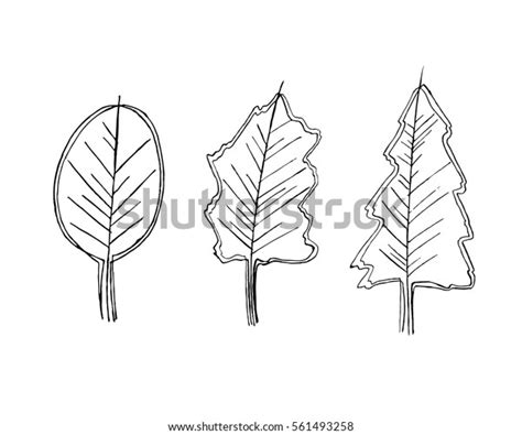 Tree Set Architecture Landscape Designlandscape Design Stock Vector Royalty Free