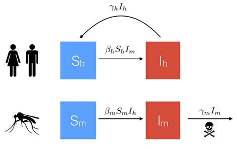 Sis Model For Malaria Sinead Morris