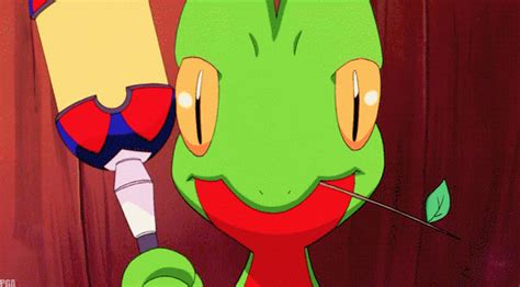 Treecko line Wiki Pokémon Amino