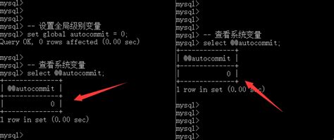 史上最简单的 mysql 教程（三十一）「数据库变量」 database变量 csdn博客