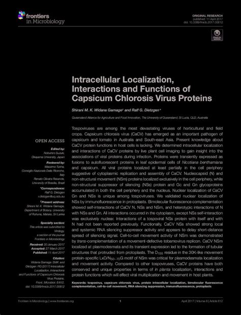 Pdf Intracellular Localization Interactions And Functions Of