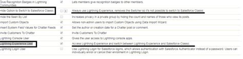 Giving Lightning Access To Users In Salesforce Salesforce Diaries