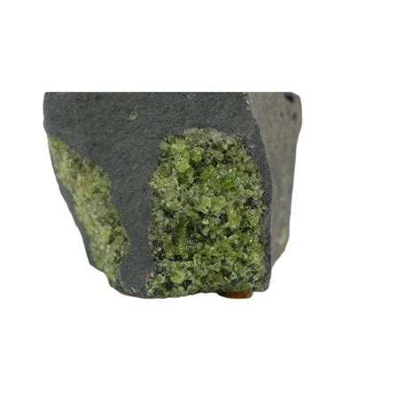 Peridotite In Basalt Specimen