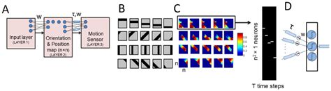 A Network Architecture B Pictorial Representation Of The Input
