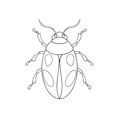 Beetle Outline Images Free Download On Freepik