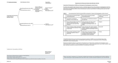 Nccn Guidelines Esophageal And Esophagogastric Junction Cancers CancerWalls
