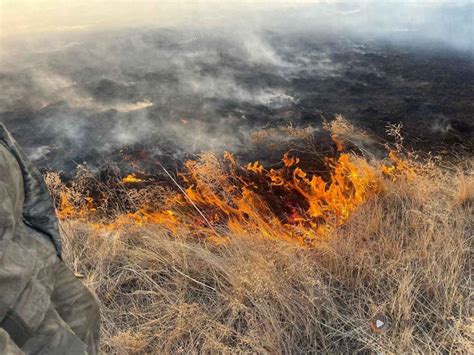 СҮХБААТАР Түймрийг хяналтад авч тархалтыг зогсоогоод байна