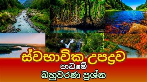 Physical Geography Mcq ස්වභාවික උපද්‍රව පාඩමේ බහුවරණ 2023 Youtube