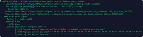 how to set up a webserver using nginx august 2025