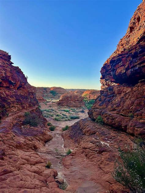 Simple Meditation Alive And Brilliant Benowa 17 August 2024