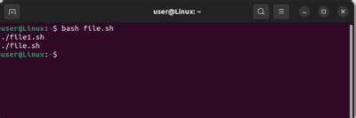 Using Find Command In Bash Script Linux Genie